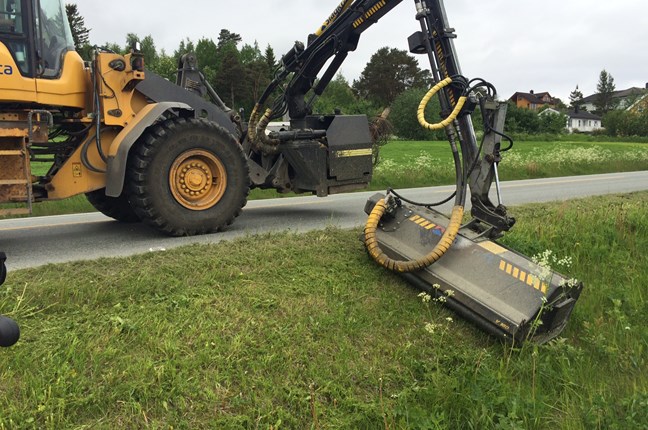 Søndre Land - Hvorfor driver kommunen med kantklipping?