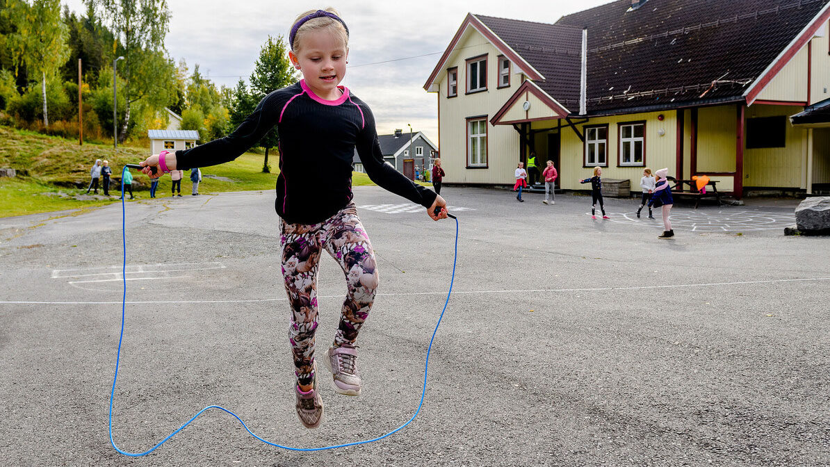 Søndre Land - Høring - endring av skolekretser